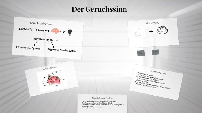 Der Geruchssinn by deli karajko on Prezi