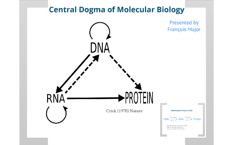 Central Dogma of Molecular Biology by Francois Major on Prezi