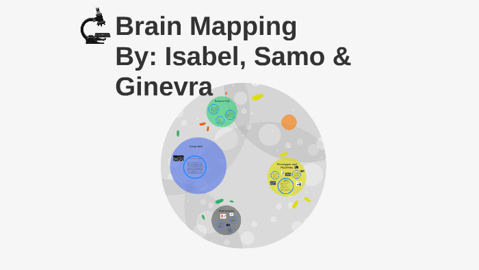Brain Mapping by Skylar Lagenbach