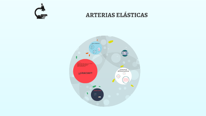 ARTERIAS ELASTICAS by on Prezi