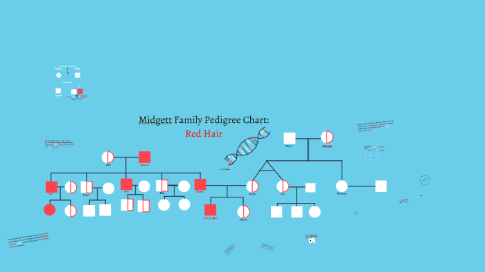 Midgett Family Pedigree Chart: by Nathan Midgett on Prezi