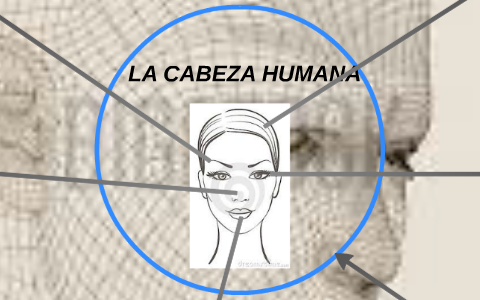 LA CABEZA HUMANA by isabel mora