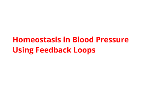 Homeostasis in Blood Pressure Using Feedback Loops by Annarose Leff on ...