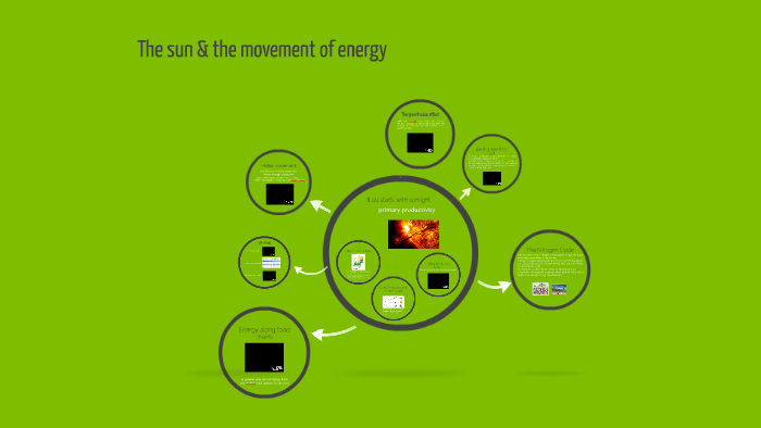Movement of Energy & Matter in Ecosystems by Andrea Loving on Prezi