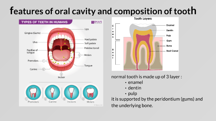 oral health talk for primary and secondary school by ROOBENDHIRAN KUMAR ...
