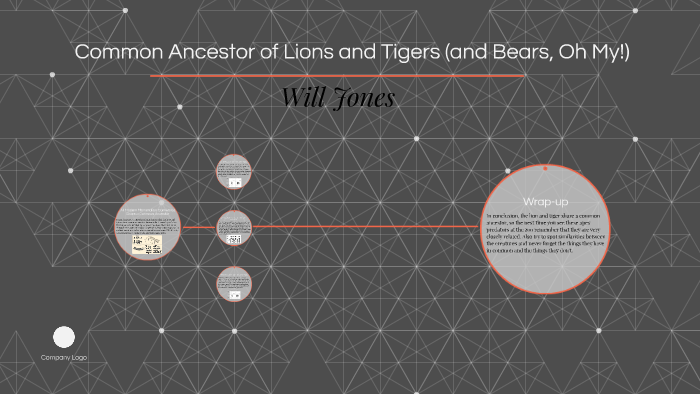 Ancestor of Lions and Tigers(and Bears, Oh My!) by William Johnson on Prezi
