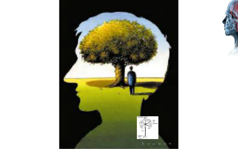 Fonctions Fondamentales by Linda Rouleau