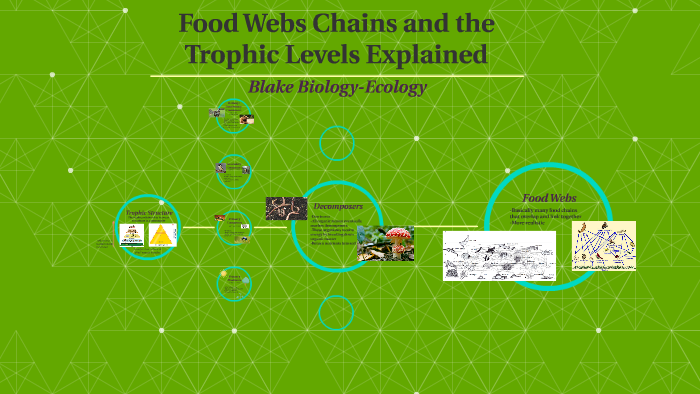 Food Webs Chains and the Trophic Levels Explained by Dylan Hilman on Prezi