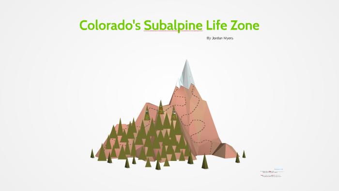 General Information about the Subalpine Life Zone by Jordan Myers on Prezi