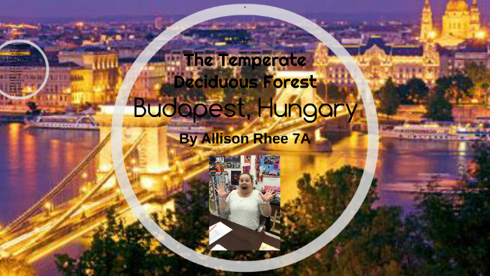 The Temperate Deciduous Forest by allison rhee on Prezi