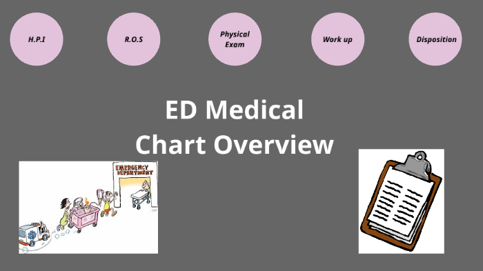 ED Medical Chart Overview by Erica Chow on Prezi