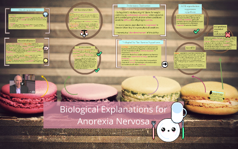 Biological Explanations for Anorexia Nervosa by Psychology Group on Prezi