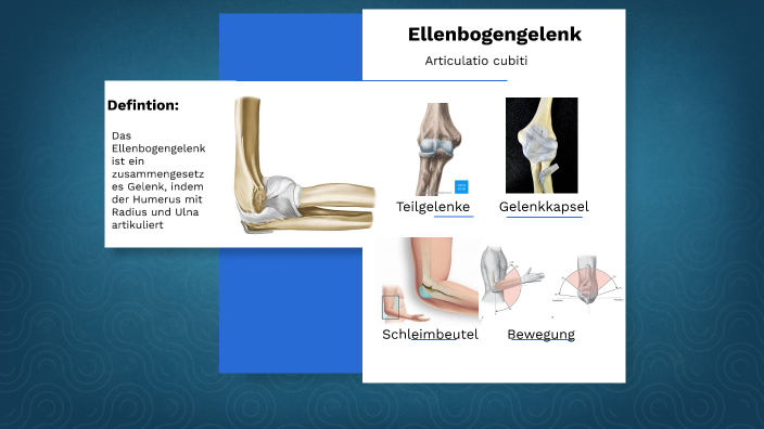 Ellenbogengelenk by Dren Balidemaj on Prezi