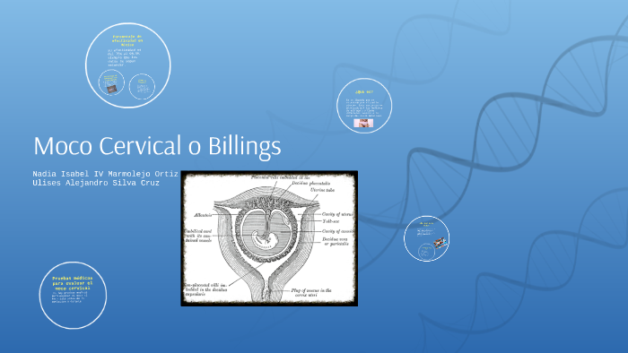 Moco Cervical by Ulises Silva on Prezi