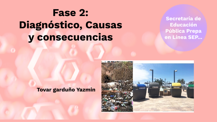 Fase 2: Diagnóstico. Causas y consecuencias by Yazmin Tovar Garduño on Prezi