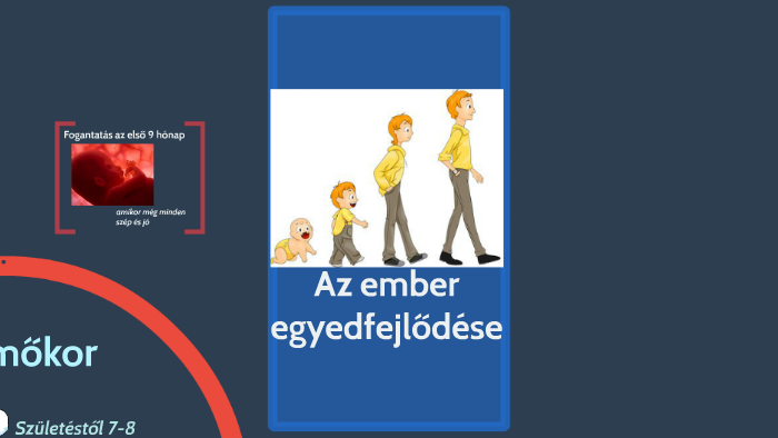 Az ember egyedfejlődése by Klaudia Nagy on Prezi