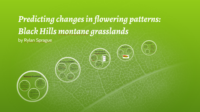 Changes in flowering patterns: Black Hills montane grassland by Rylan ...
