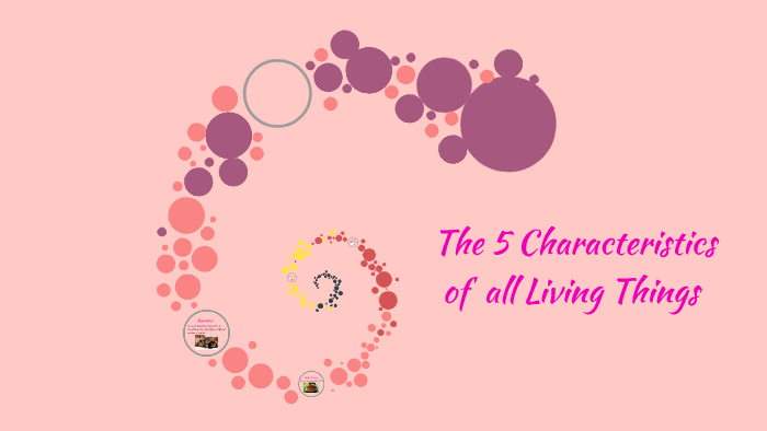 The 5 Characteristics of Living Things by Dana Saunders on Prezi
