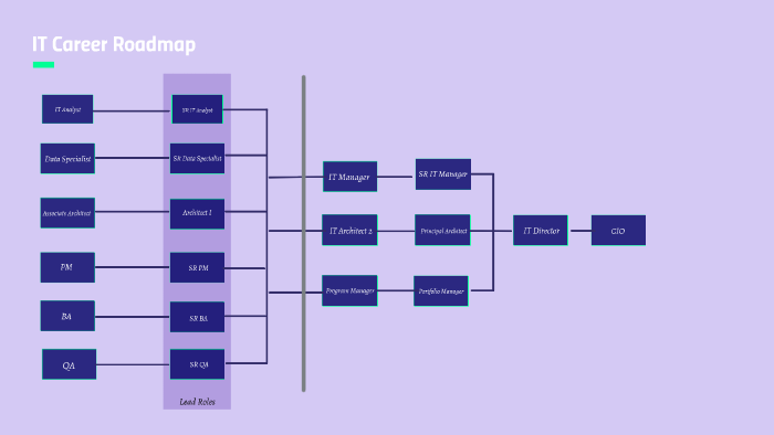 IT Career Roadmap by Randy Dray on Prezi