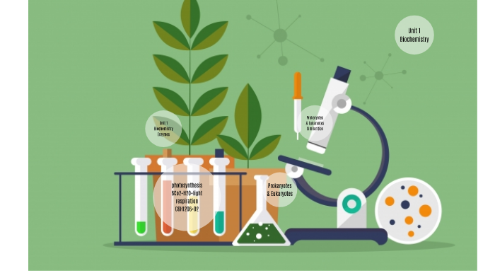 Biology Honors Project 4th Period by Camilla Cruz on Prezi