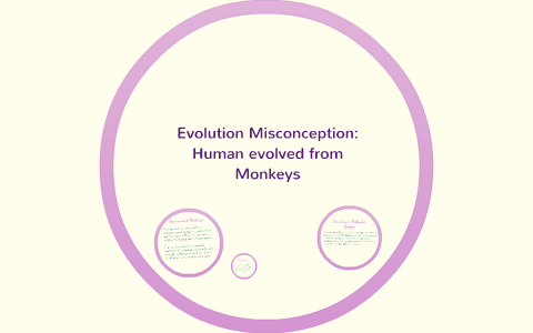 Evolution Misconception: Human evolved from Monkeys by Nancy Tran on Prezi
