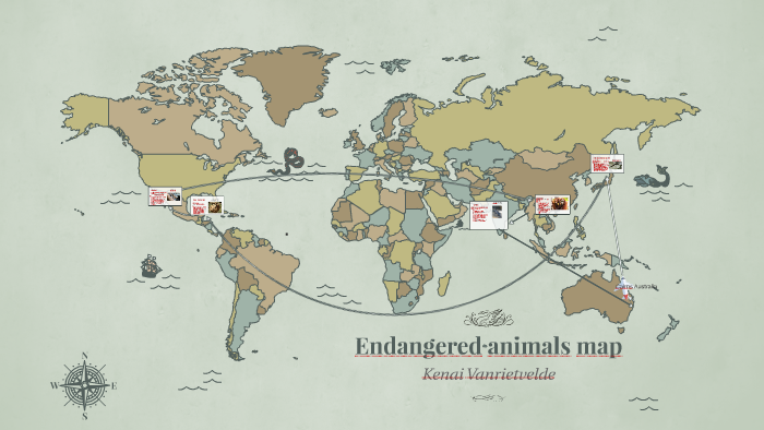 Endangered animals map by Makiko Omae on Prezi