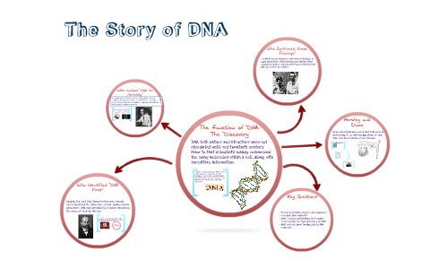 The Story of DNA by Natalya Dechamplain on Prezi