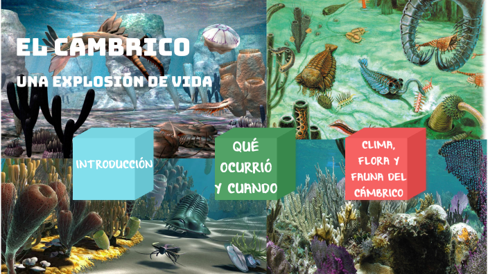 EL CÁMBRICO by Pablo Flores Sancho on Prezi