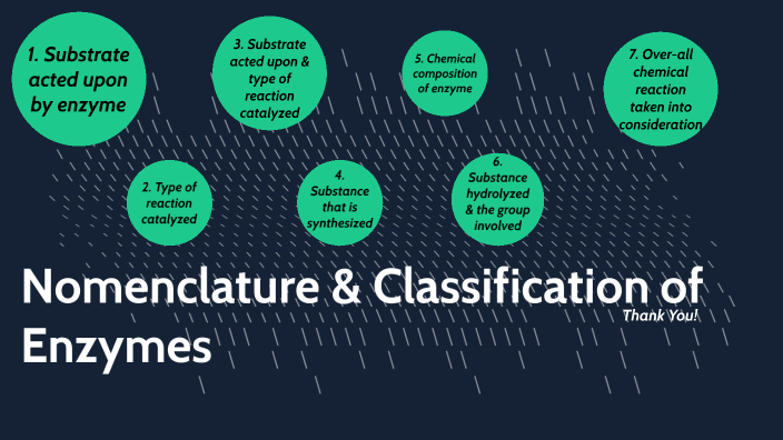 Nomenclature and Classification of Enzymes by Suganya Sabhapathy on Prezi