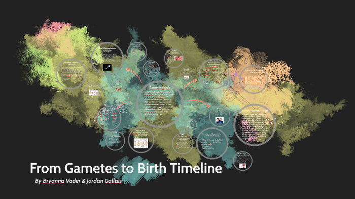 From Gametes to Birth TImeline by Jordan Gallais