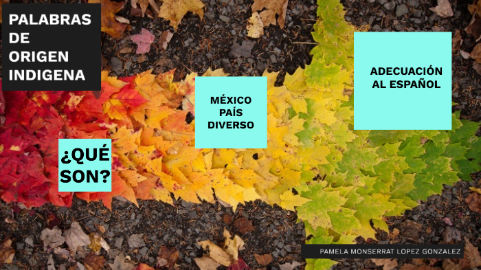PALABRAS DE ORIGEN INDIGENA by Monshe Lopz on Prezi