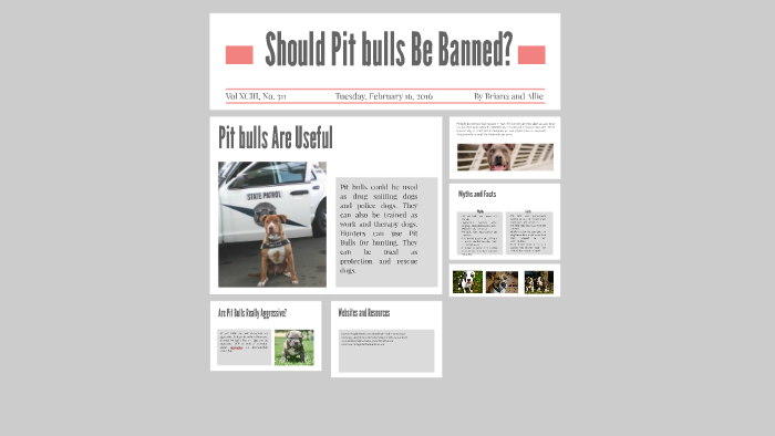 Should Pitbulls Be Banned? by Allie Lasswell on Prezi