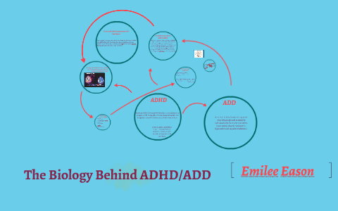 The Biology Behind ADHD by Emilee Eason on Prezi