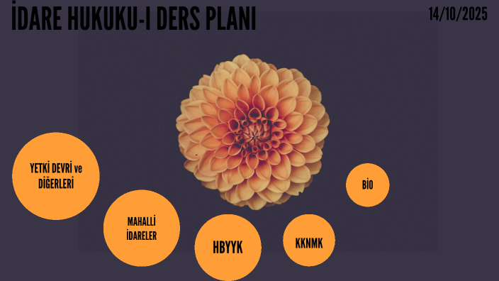 22 EKİM 2024-İDARE HUKUKU by Nida Erdem on Prezi