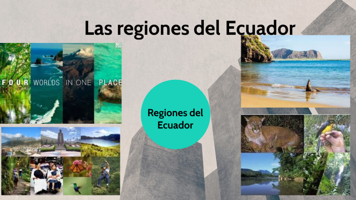 Las Regiones Del Ecuador | Las Cuatro Regiones de Ecuador: Una Guía de ...