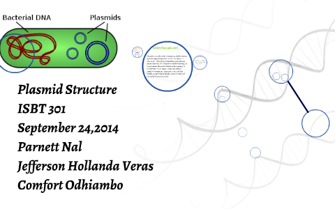 Plasmid Structure by Comfort Odhiambo on Prezi