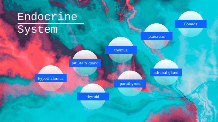 Endocrine System Project by natalie via on Prezi