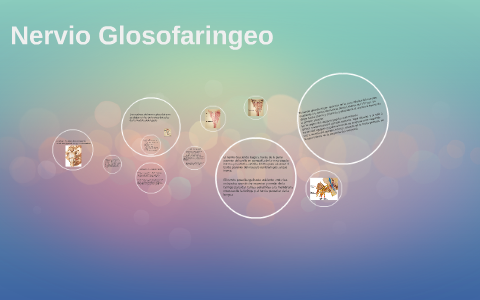 Nervio Glosofaringeo by Maria Rayo on Prezi