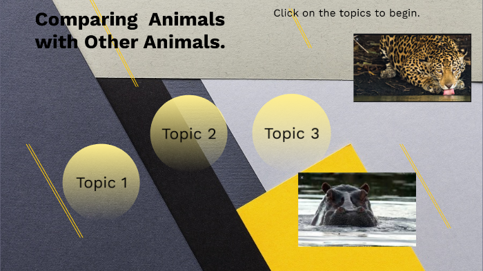 Comparing Animals With Other Animals. by Eduardo Antonio Echeverri on Prezi