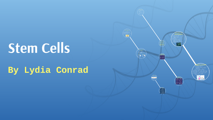Stem Cells by Lydia Conrad on Prezi