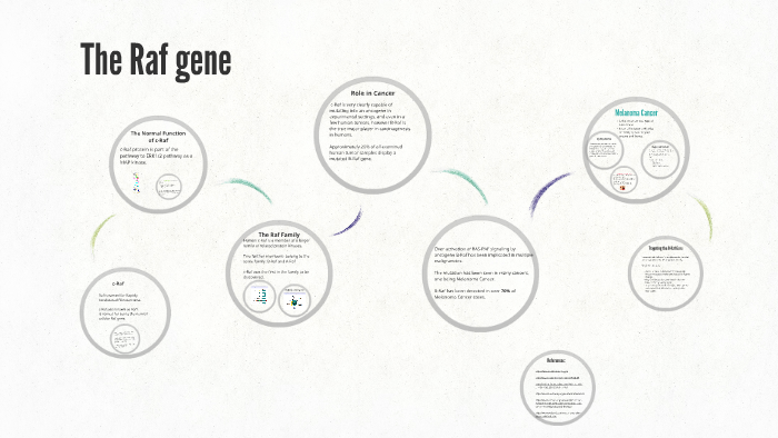 The Raf Gene by Sarah Graham on Prezi