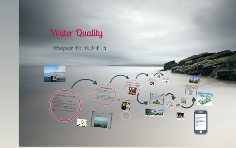 Water Quality (Gr.8 Science!) by Silvio Sansano