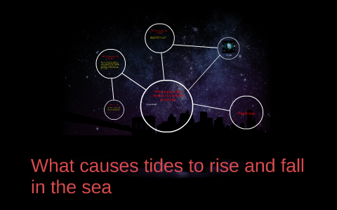 What causes the tides to rise and fall in the sea by Jackson Dimovski ...