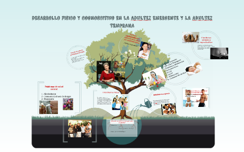 DESARROLLO FISICO Y COGNOSCITIVO EN LA ADULTEZ EMERGENTE Y L by Karla Pd on Prezi