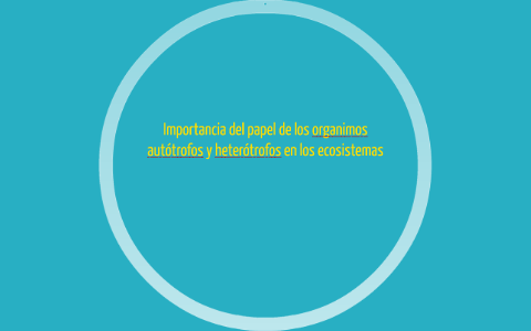 Importancia del papel de los organimos autótrofos y heterótr by Maria ...