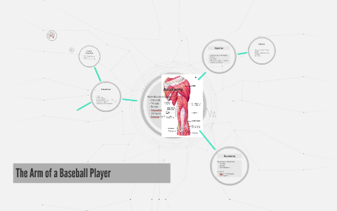 The Arm of a Baseball Player by David Mack on Prezi