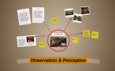 Observation & Perception by Jackie Trivalera on Prezi