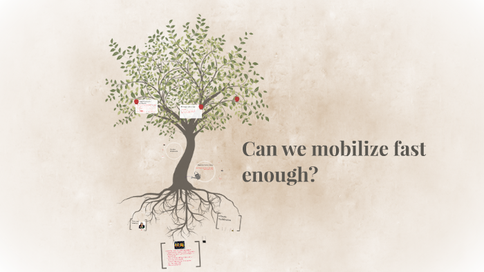 Can we mobilize fast enough? by