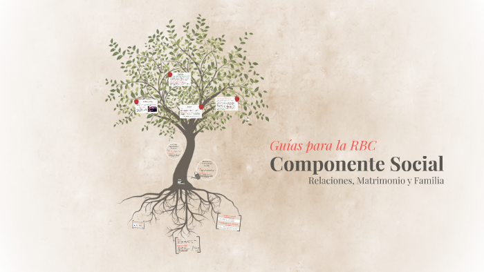 Guías para la RBC (Componente Social) by Maria F Herrera Garcia on Prezi