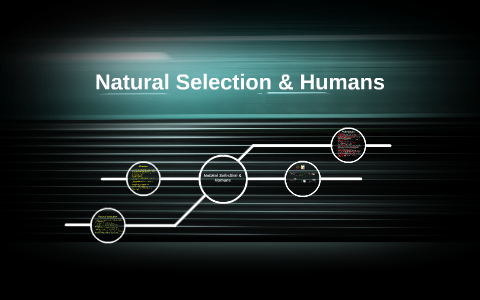 Natural Selection & Humans by Brendan White on Prezi